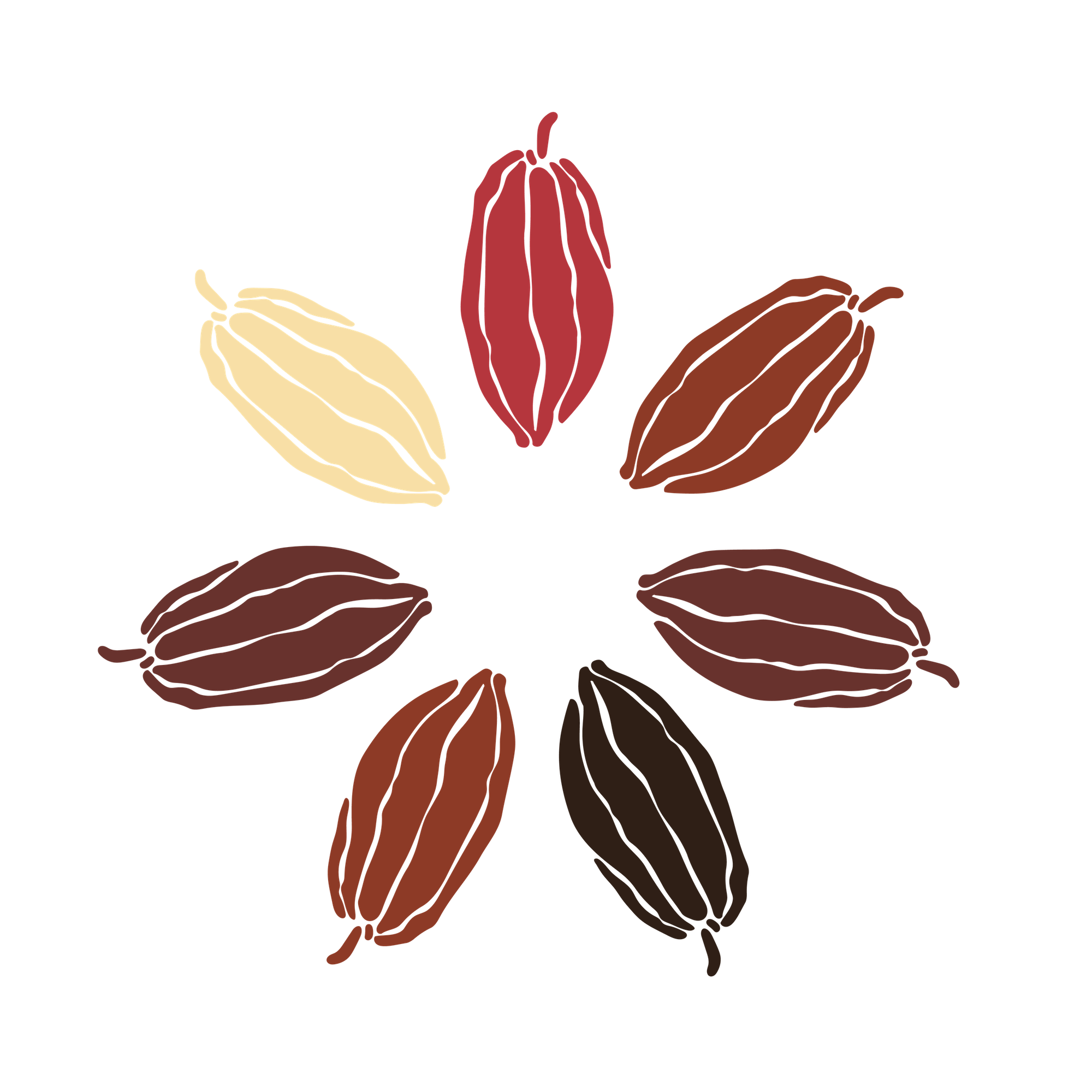 The home of The Indian Cacao and Craft Chocolate Festival – Craft ...